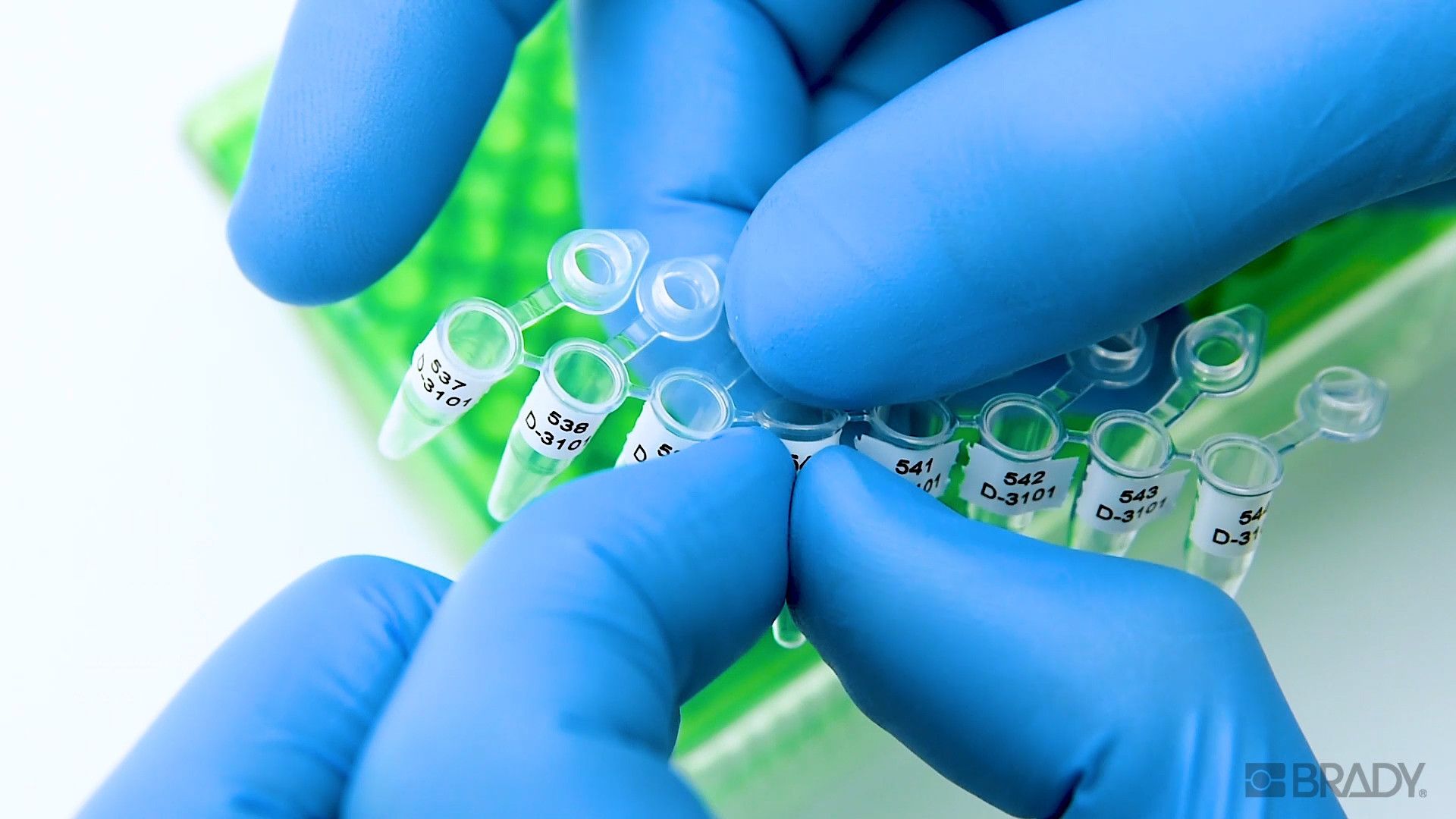 Etichetta per provette PCR