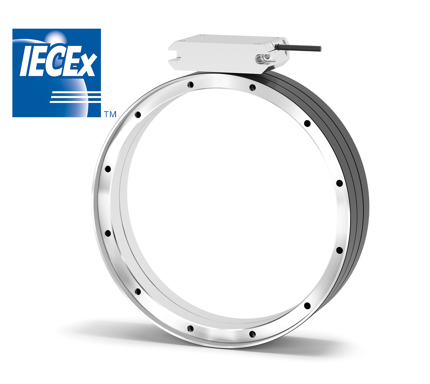 Encoder bearingless per grandi assi